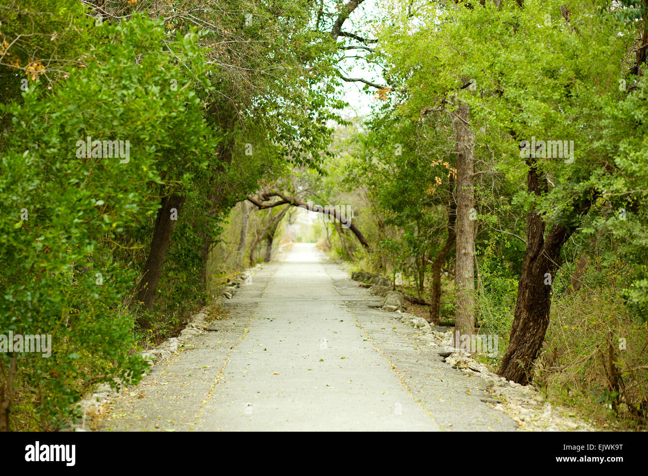 Pathway to nature Stock Photo - Alamy