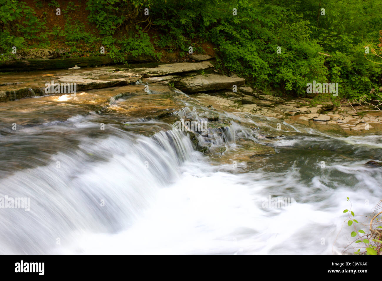 Kentucky creek hi-res stock photography and images - Alamy