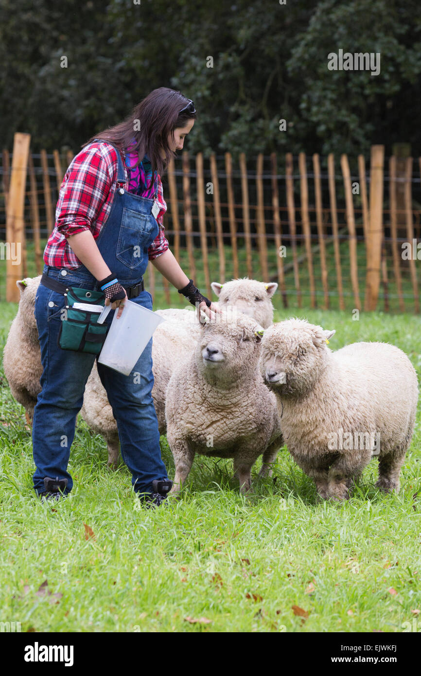 Royal botanic gardens, kew wakehurst hi-res stock photography and ...