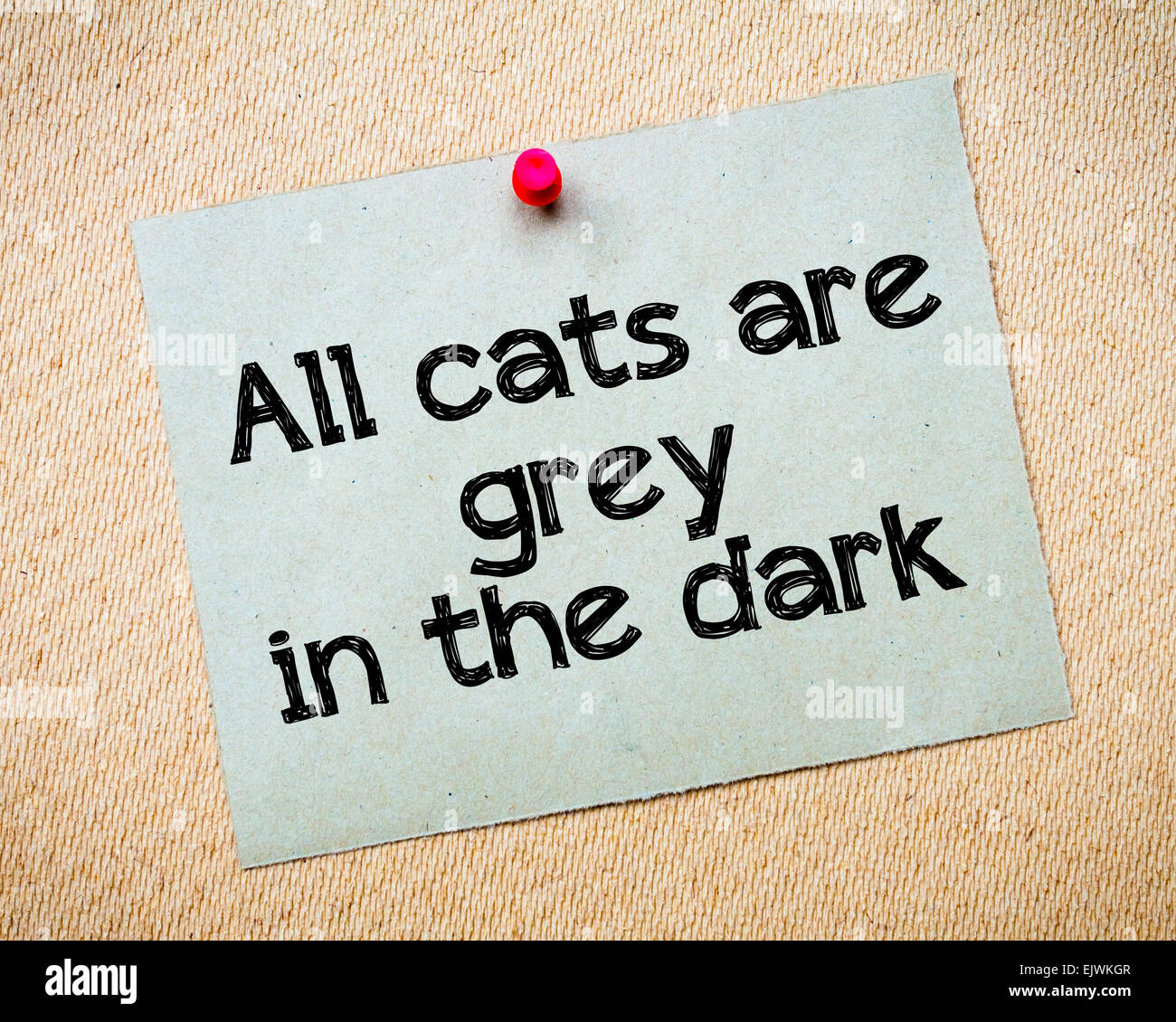 All cats are grey in the dark Message. Recycled paper note pinned on ...