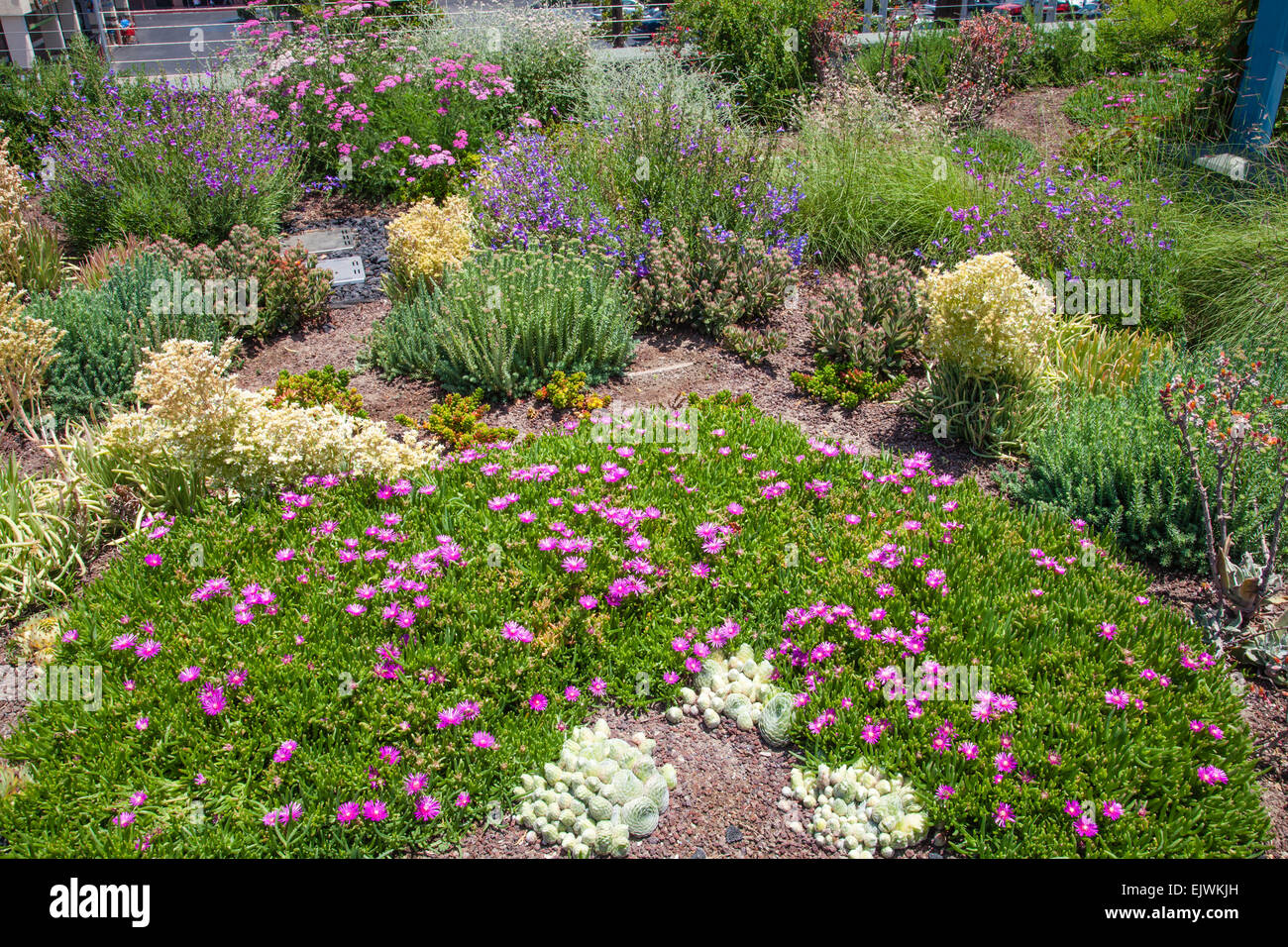 Solar in central california hi-res stock photography and images - Alamy