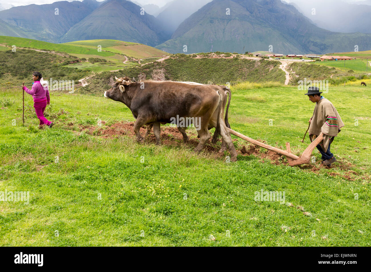 Peru agriculture farmer hi-res stock photography and images - Alamy