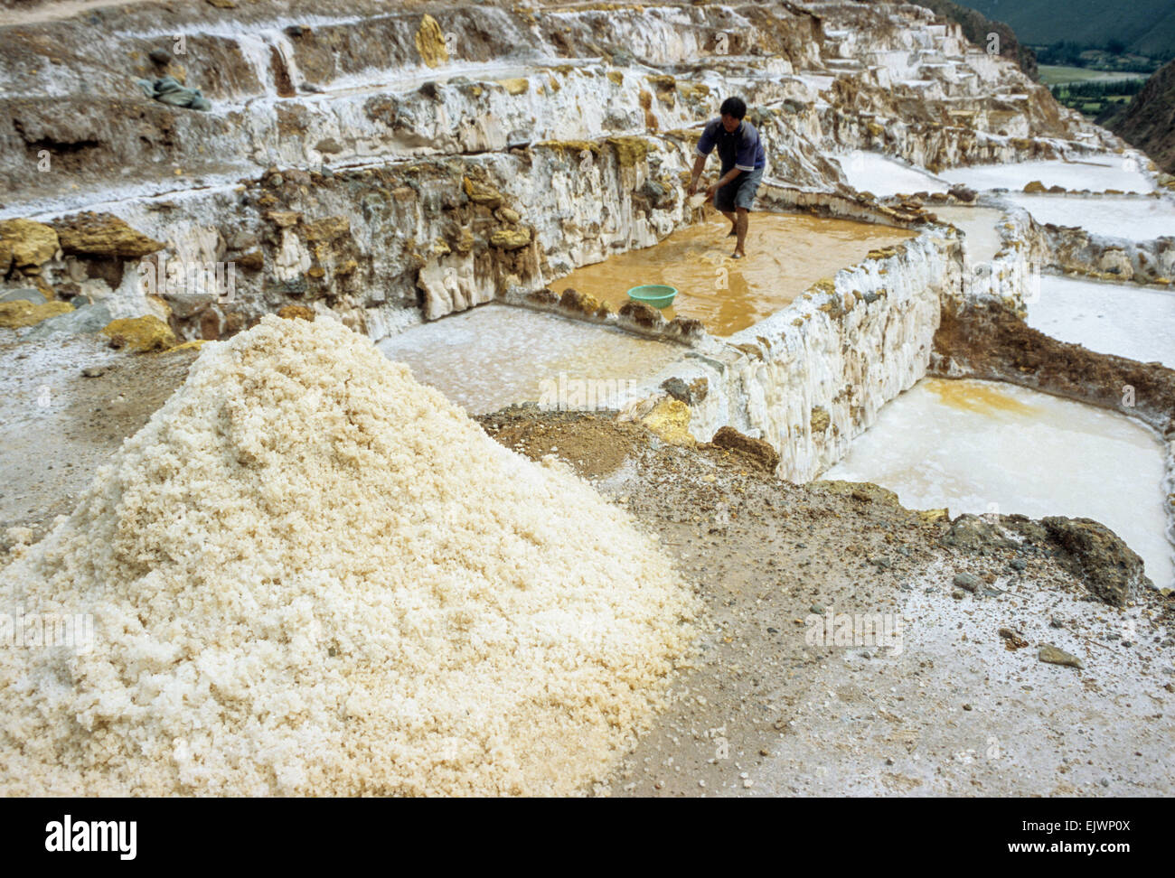 Peru. Maras Salt Pans, Urubamba Valley. Man Collecting Salt Stock Photo ...