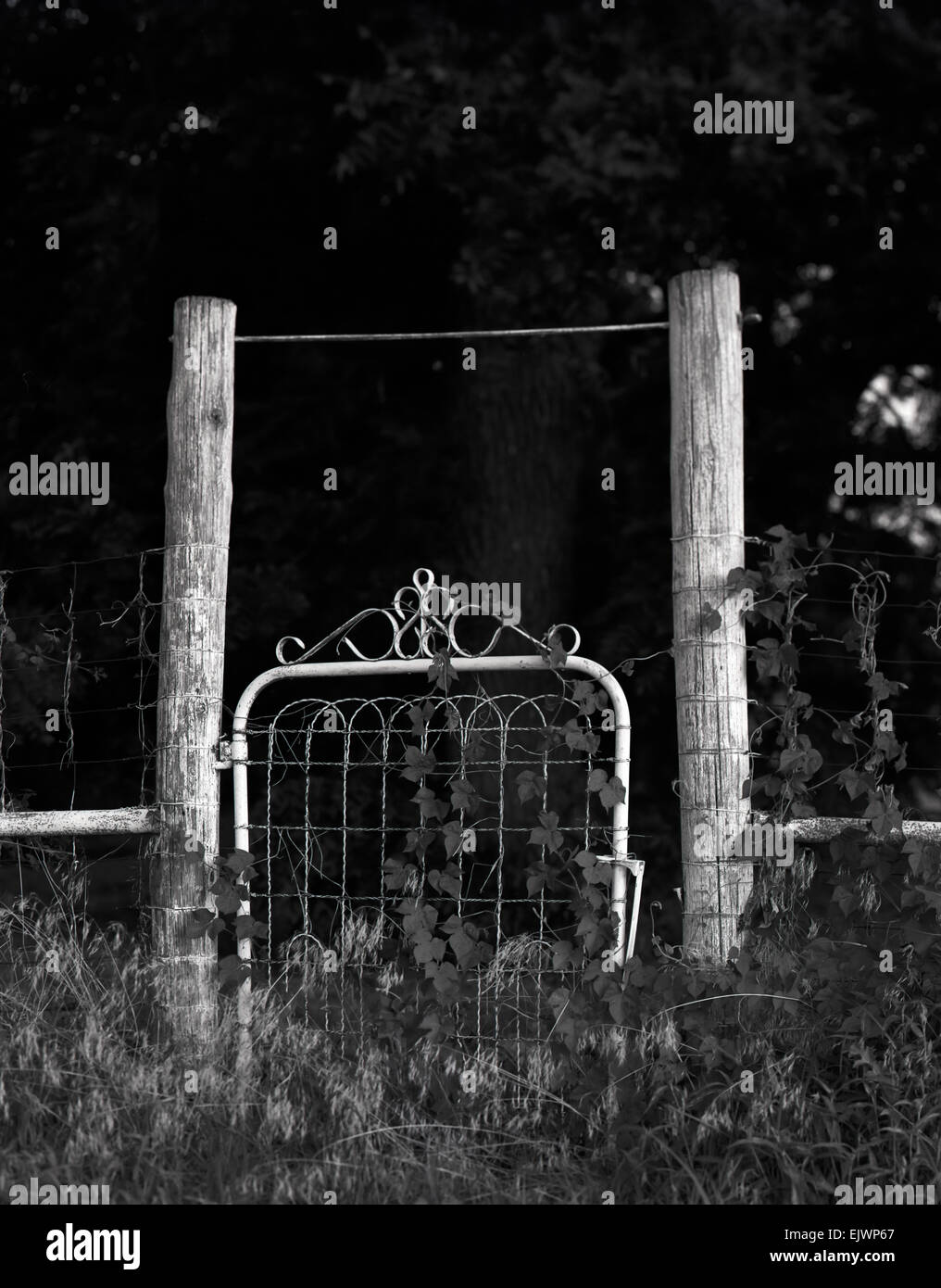 Days old hi-res stock photography and images - Alamy