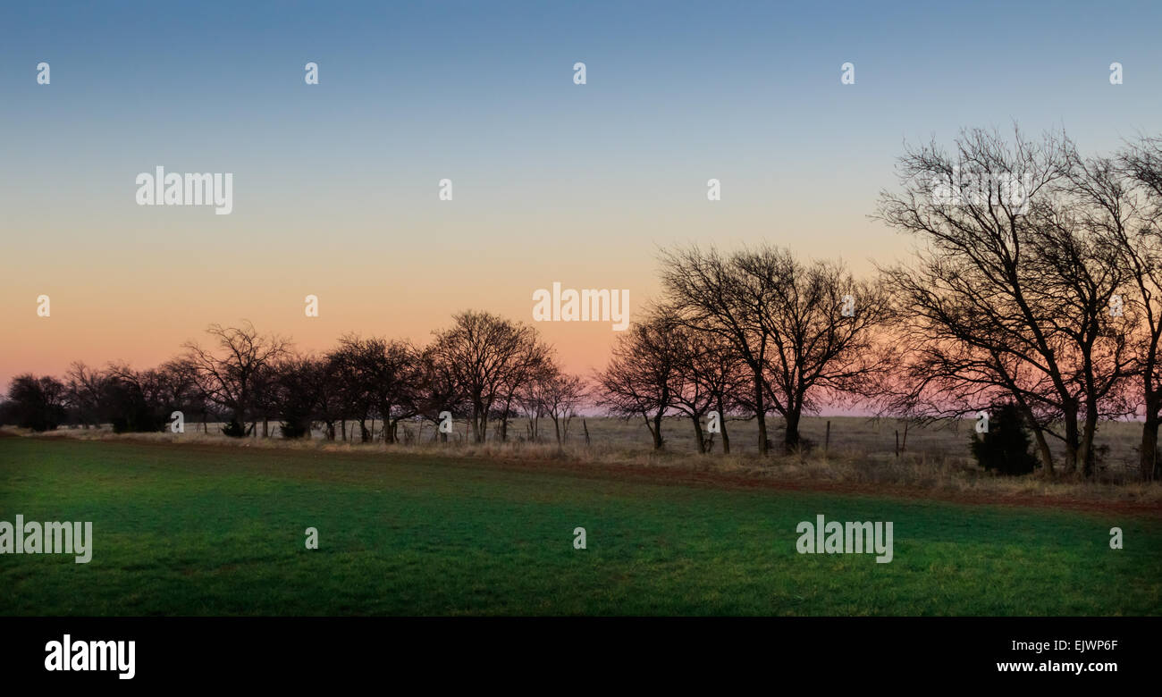 A panoramic view of a tree line on an Oklahoma farm against a fading ...