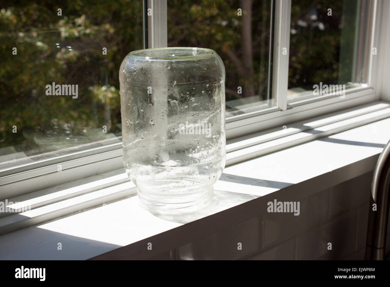 Glass jar drying in the sun on a window sill Stock Photo - Alamy