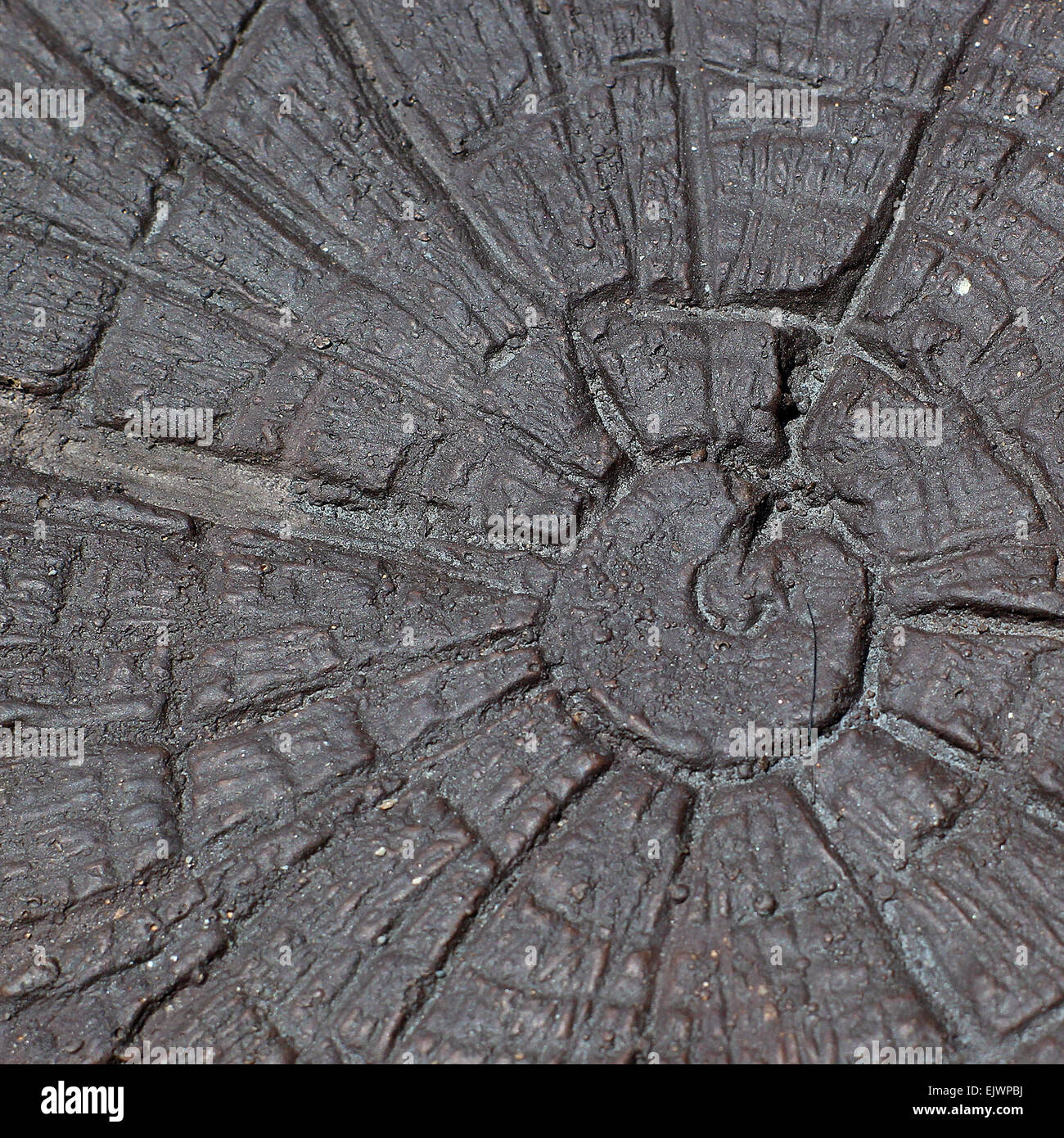 Stump tile floor as background Stock Photo - Alamy