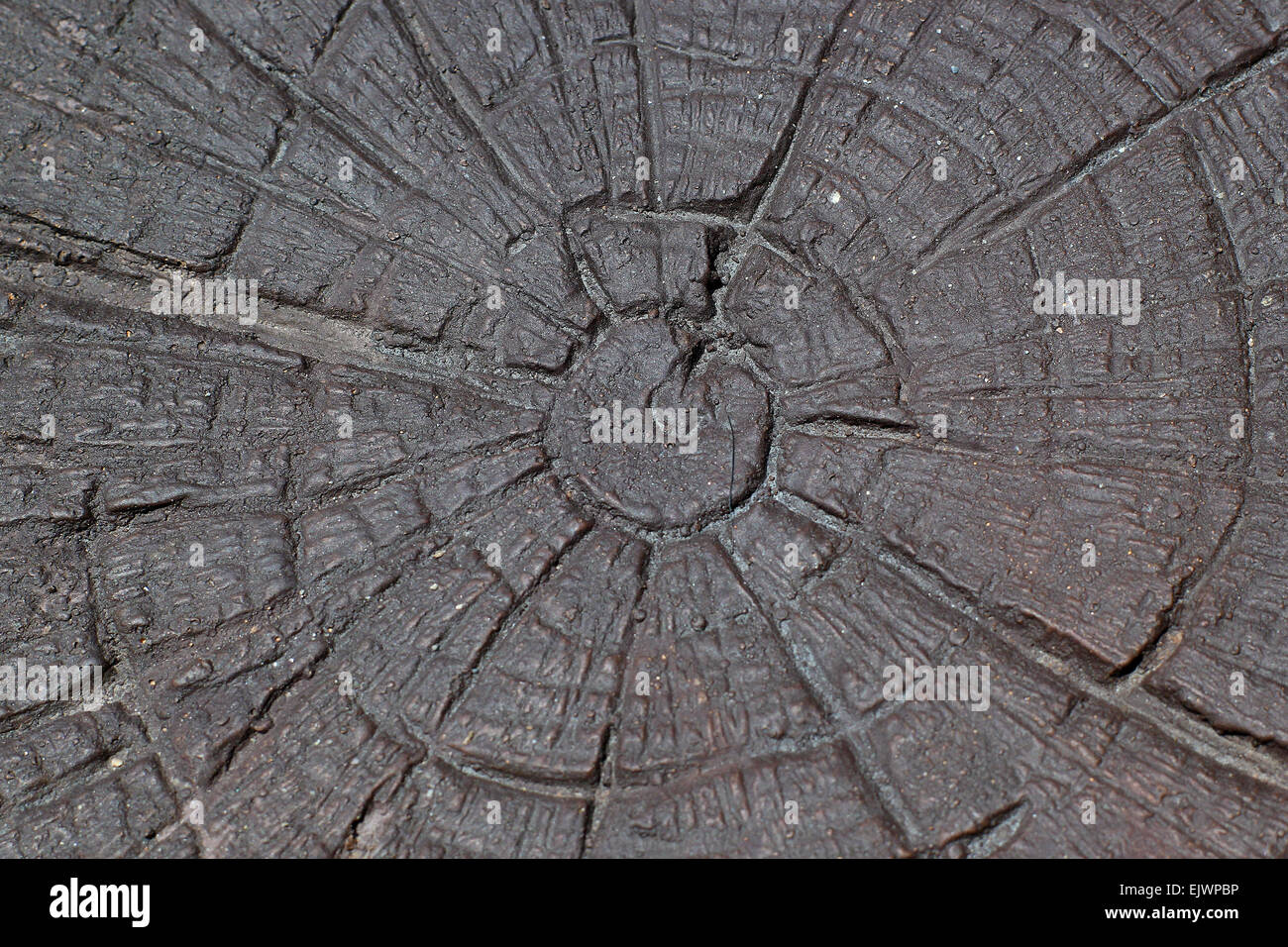Stump tile floor as background Stock Photo - Alamy