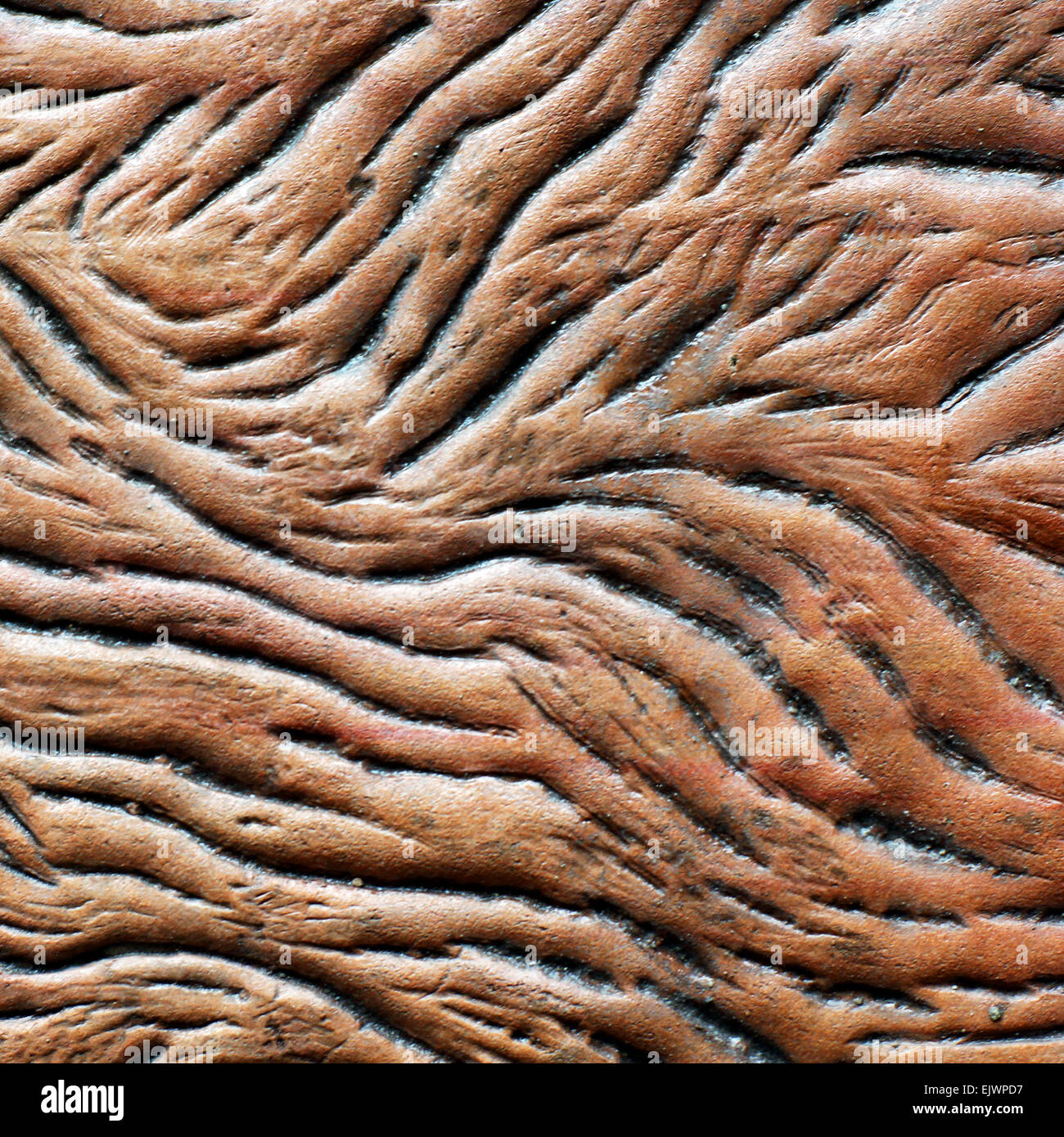 Tree bark tile floor decoration Stock Photo - Alamy