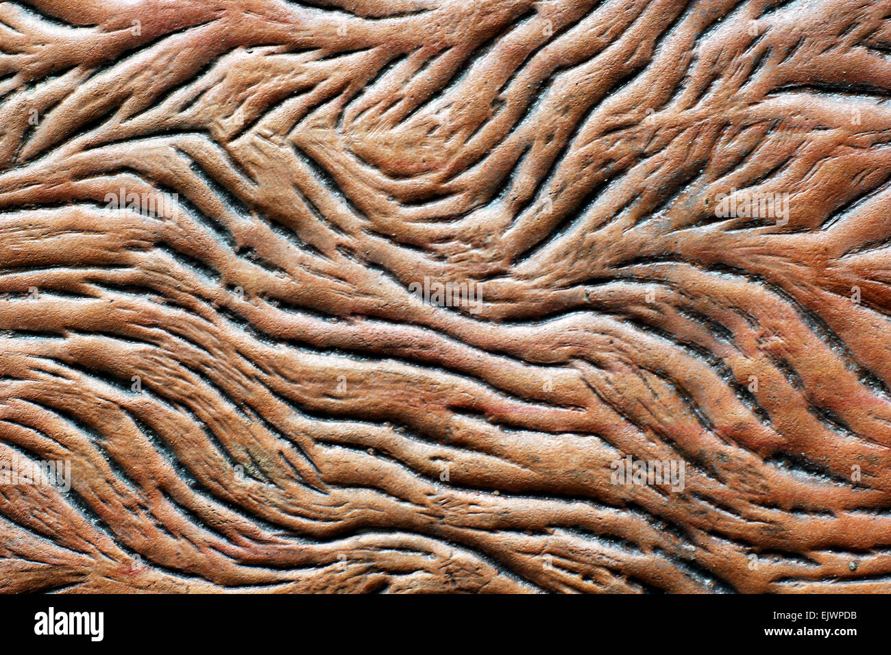 Tree bark tile floor decoration Stock Photo - Alamy