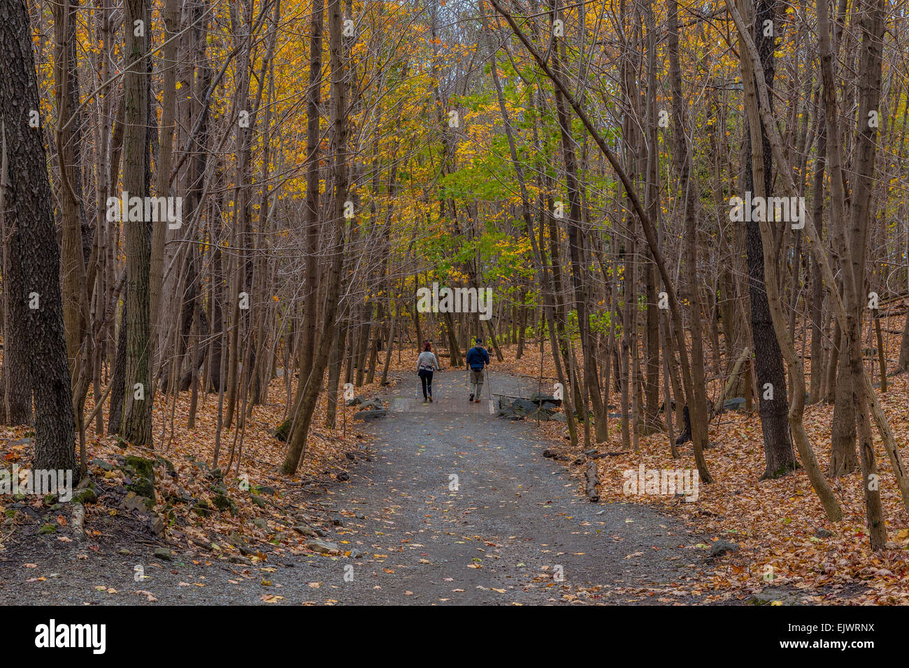 Westmount quebec hi-res stock photography and images - Alamy