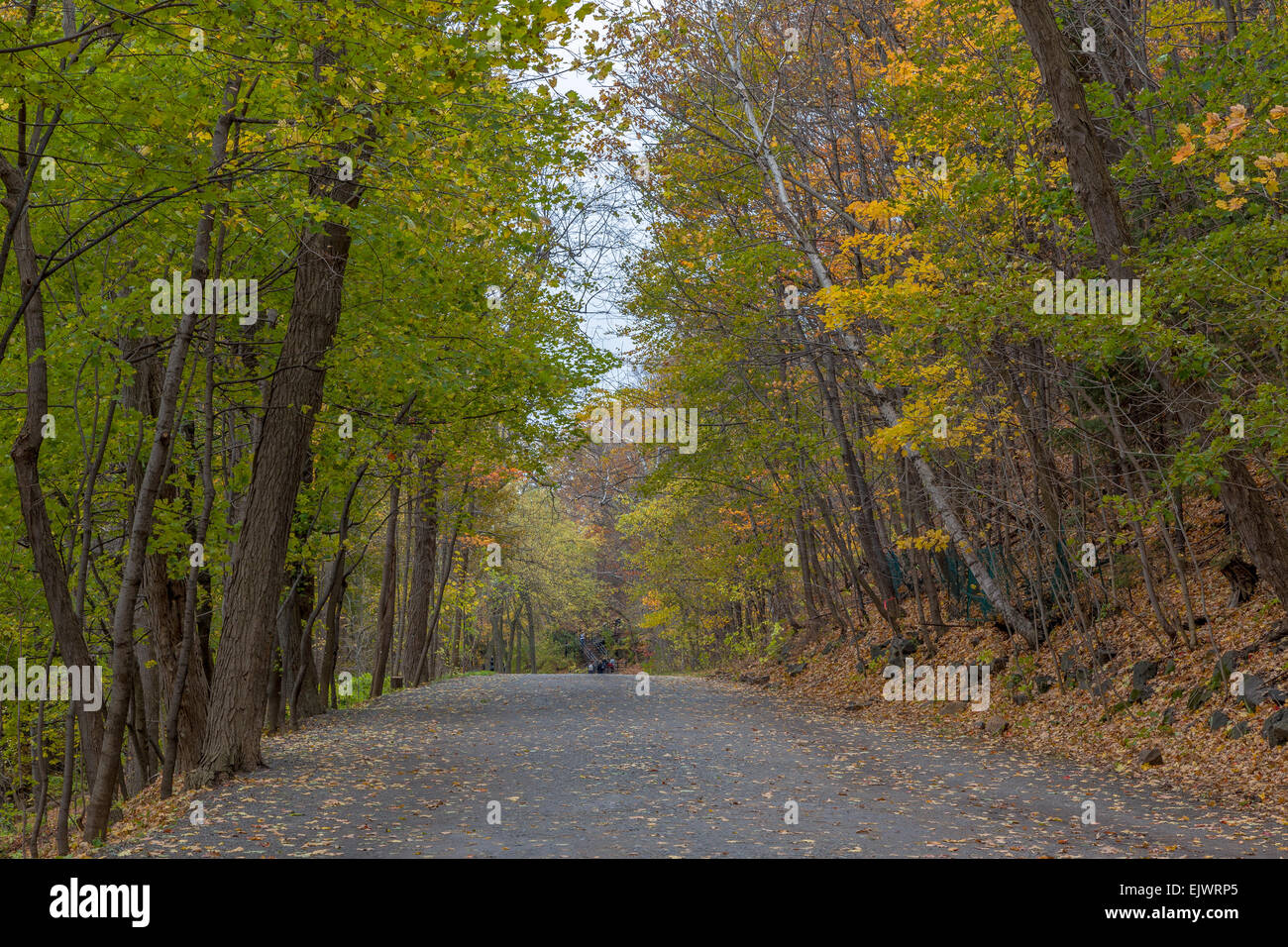 Canada fall autumn hi-res stock photography and images - Alamy