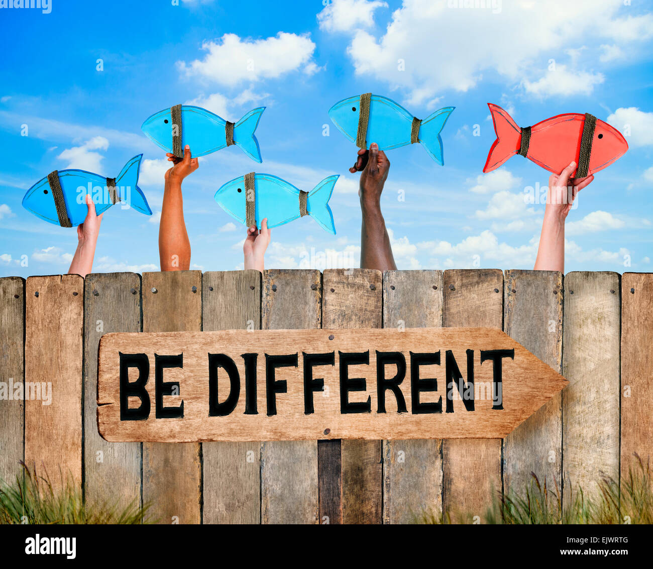 School of Fish and Wooden Signboard with Be Different Concept Stock ...