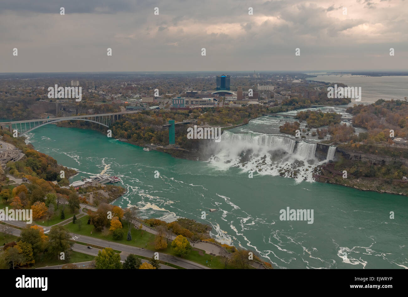 Niagara falls seagull hi-res stock photography and images - Alamy