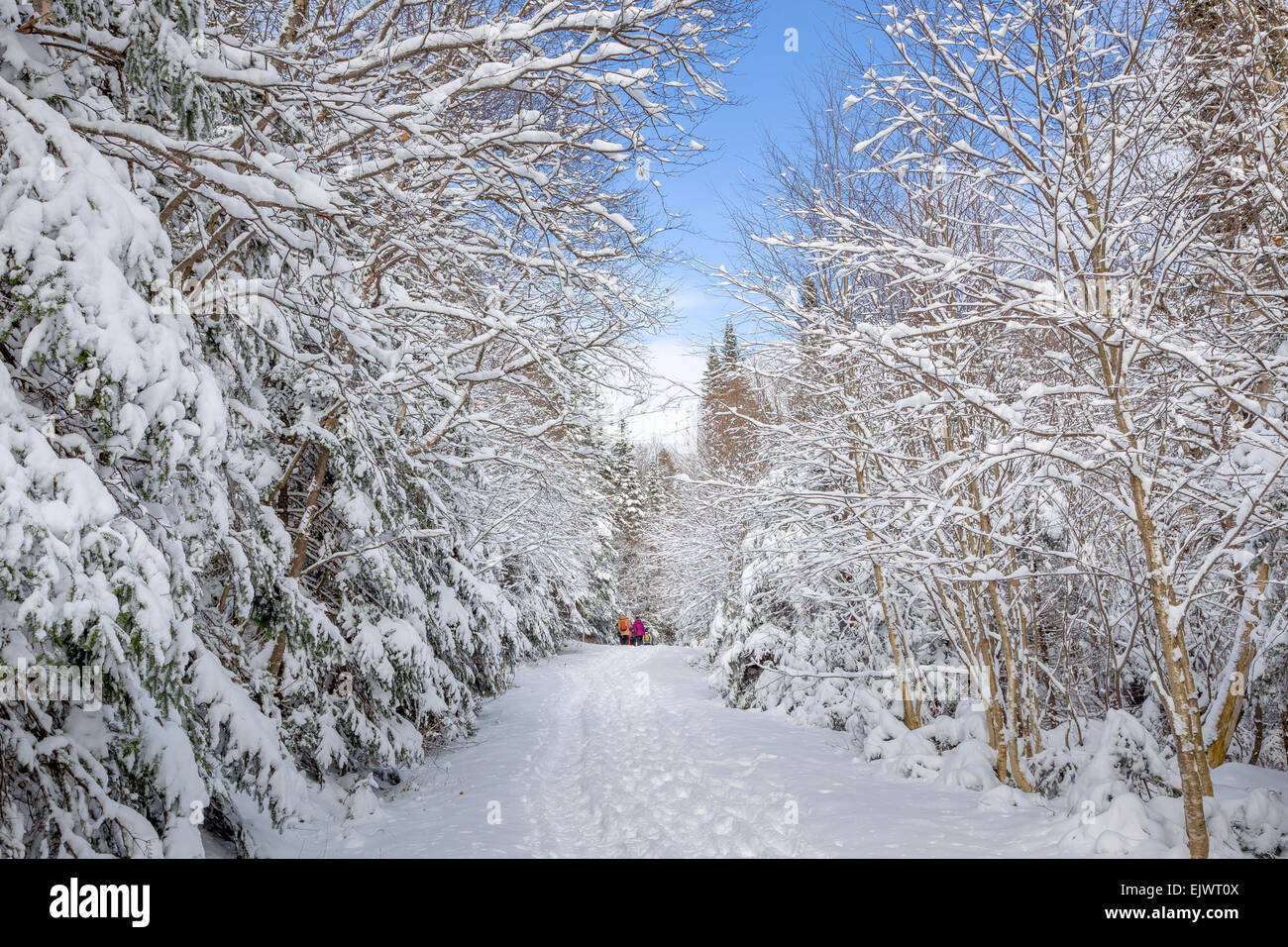 Parc national du Mont-Mégantic and its Observatory Stock Photo - Alamy