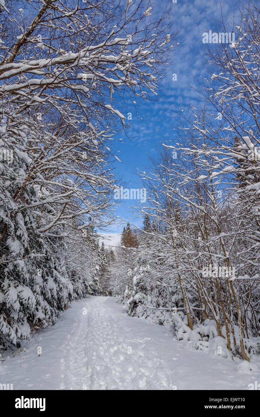 Parc national du Mont-Mégantic and its Observatory Stock Photo - Alamy