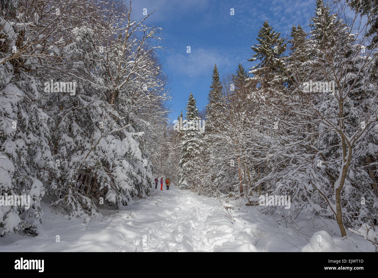 Parc national du Mont-Mégantic and its Observatory Stock Photo - Alamy