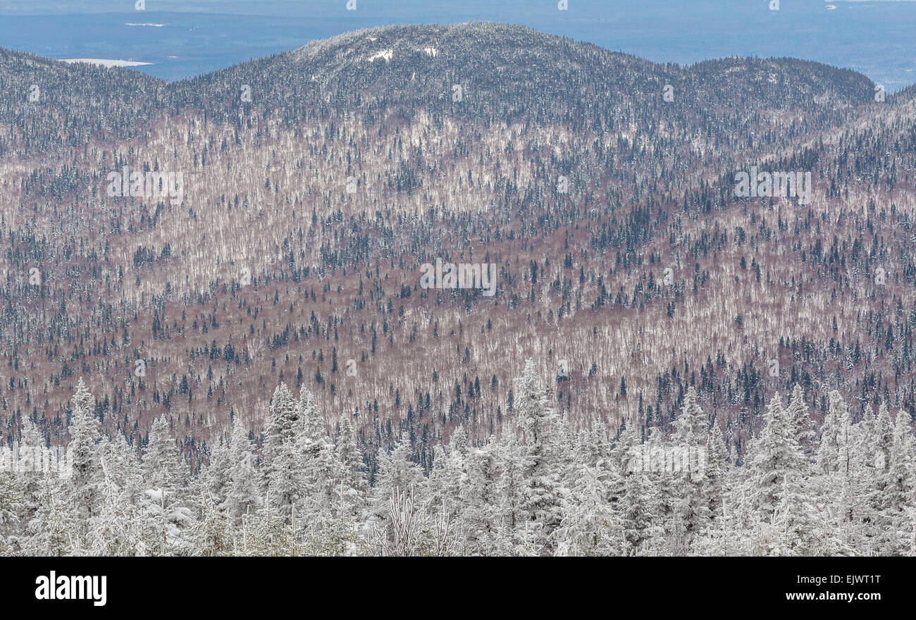 Parc national du Mont-Mégantic and its Observatory Stock Photo - Alamy