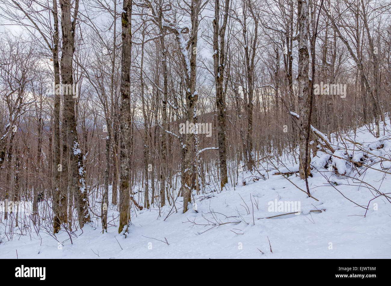 Montreal snow street hi-res stock photography and images - Alamy