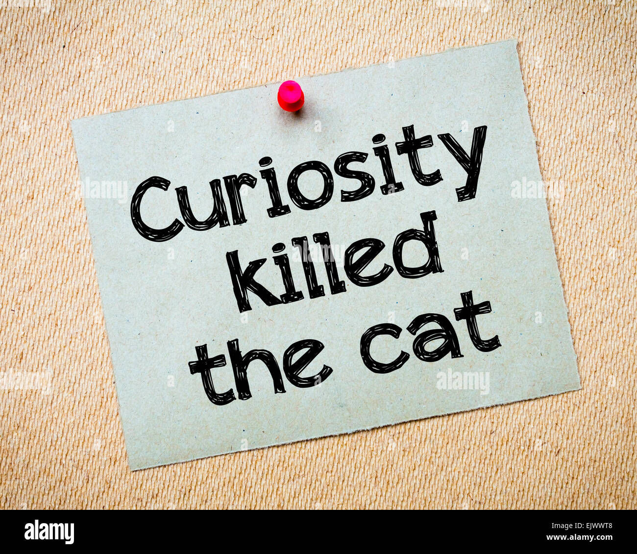 Curiosity killed the cat hi-res stock photography and images - Alamy