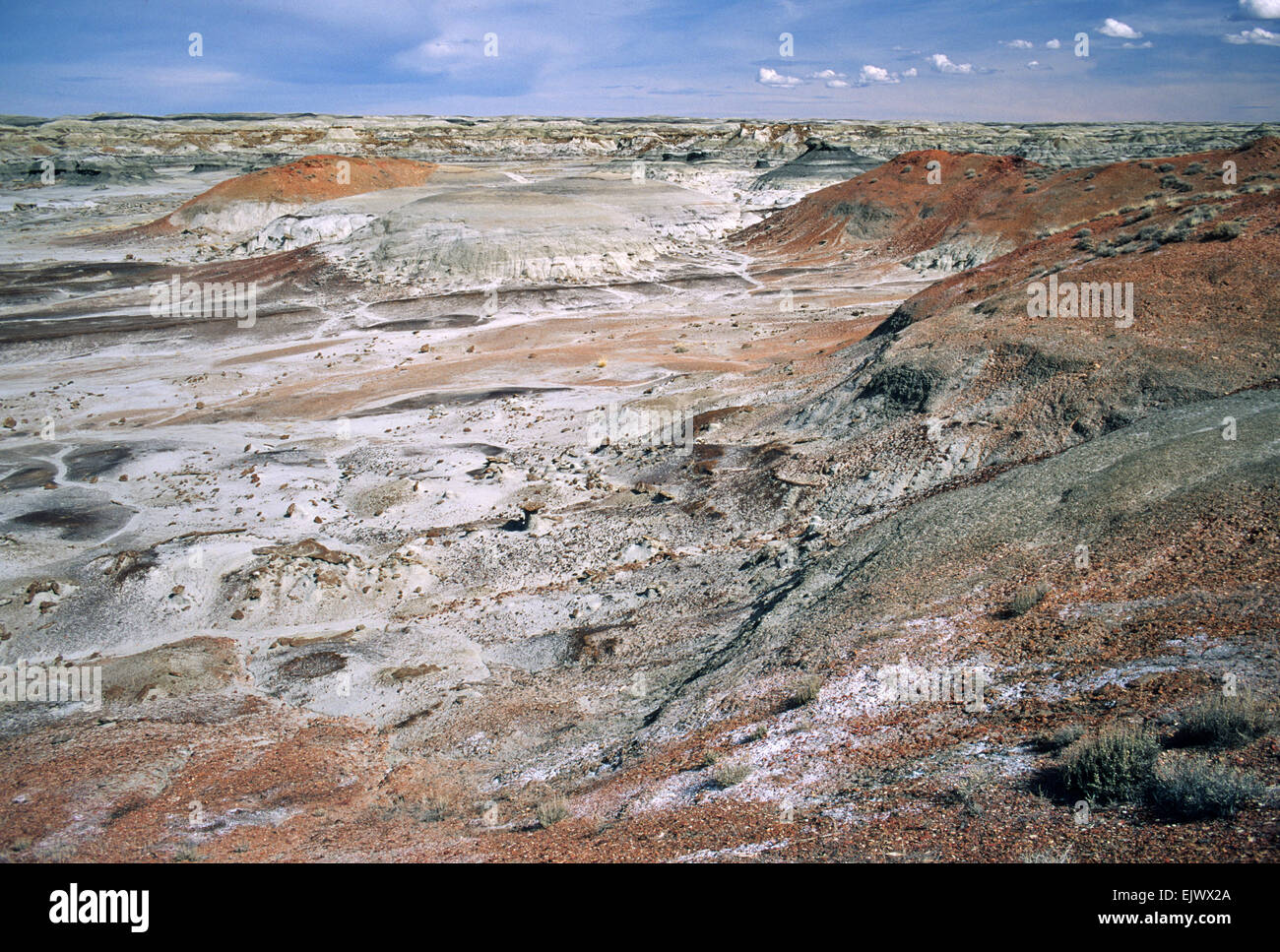 Chert rock hi-res stock photography and images - Alamy