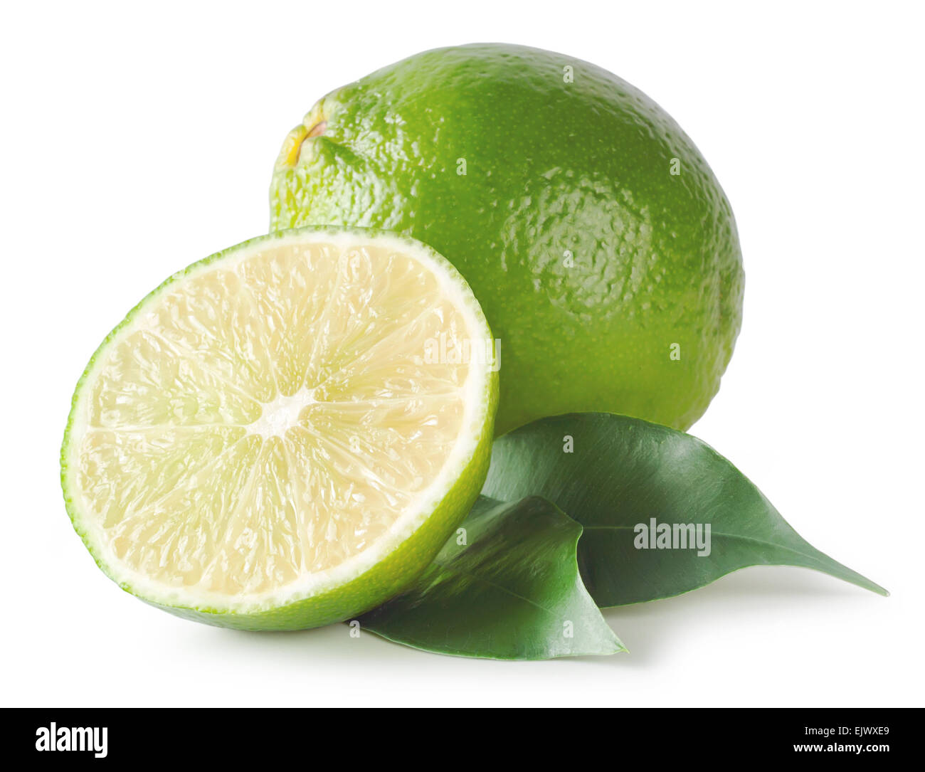 Sour green lime isolated on white background Stock Photo - Alamy