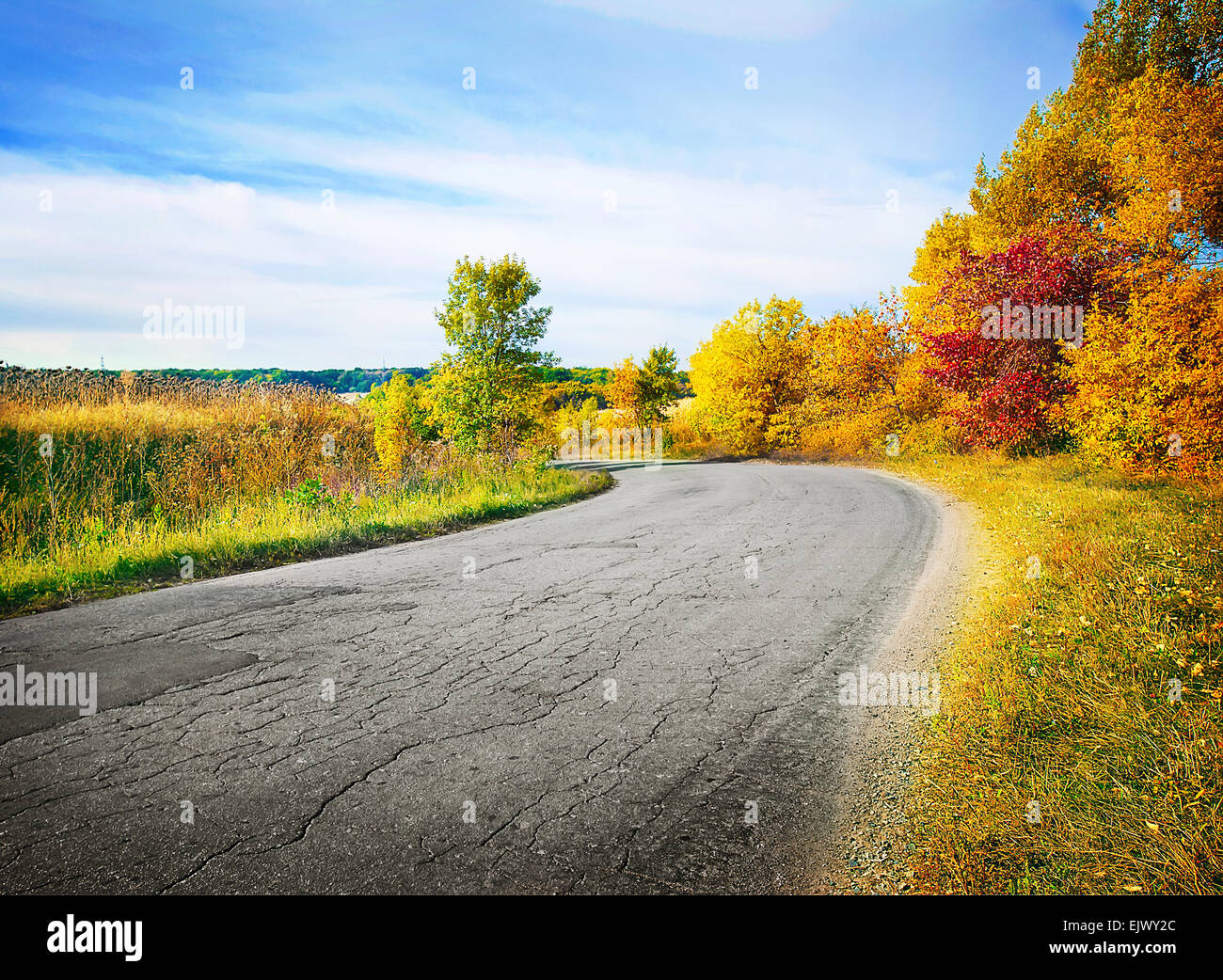 Country road in autumn forest with colorful trees Stock Photo - Alamy