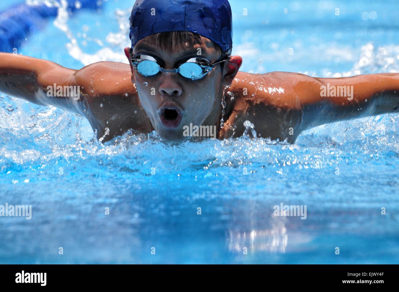 Swimming pool action stroke splash breathing hi-res stock photography ...