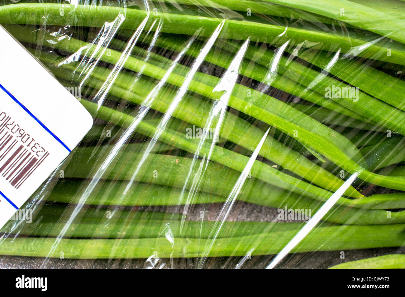 Packaging of fresh green onions with a price tag and barcode at the ...