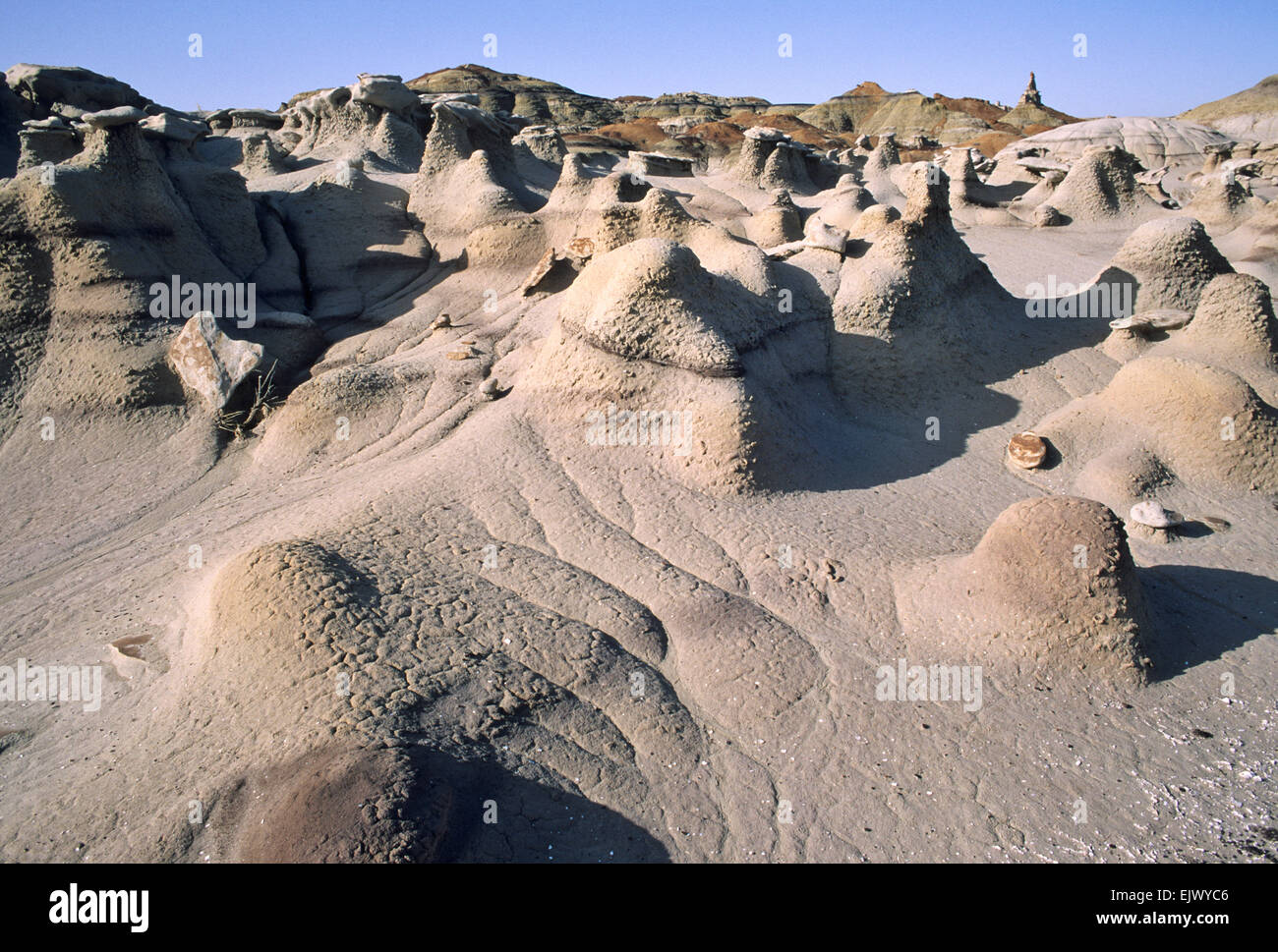 Sculpted mounds of eroded clay at the Bisti Wilderness Area near ...