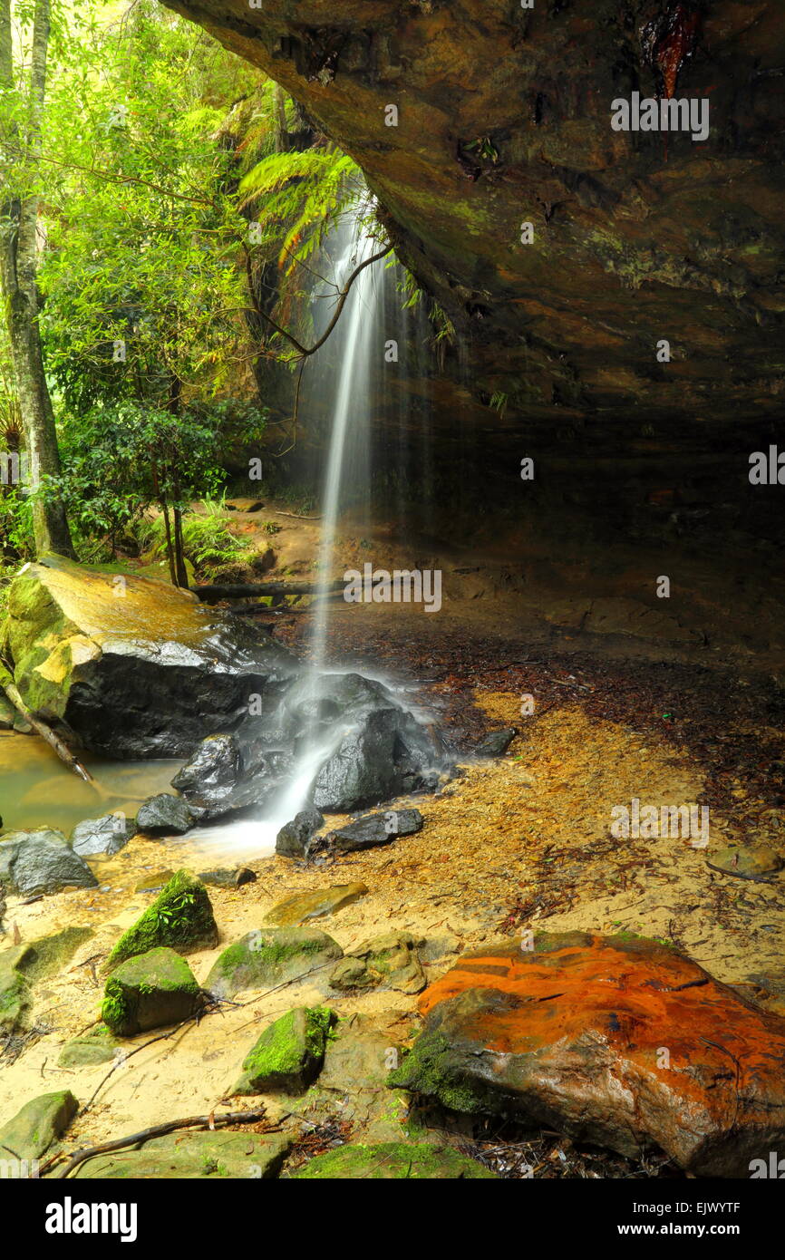Glow-Worm Nook Falls, one of myriad waterfalls in Horseshoe Falls ...