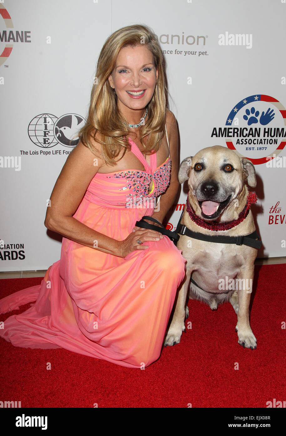 4th Annual American Humane Association Hero Dog Awards - Arrivals ...