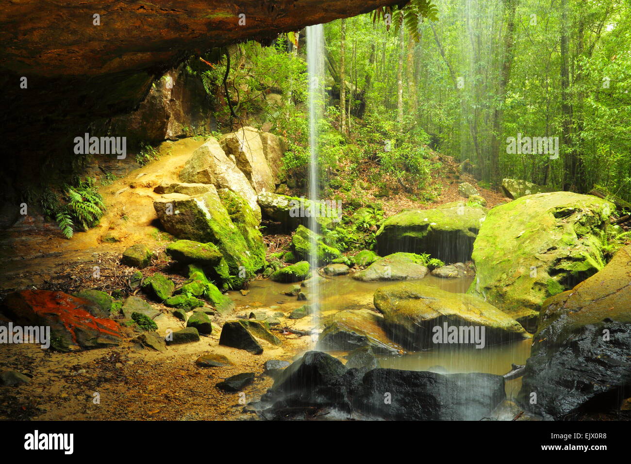 Glow-Worm Nook Falls, one of myriad waterfalls in Horseshoe Falls ...