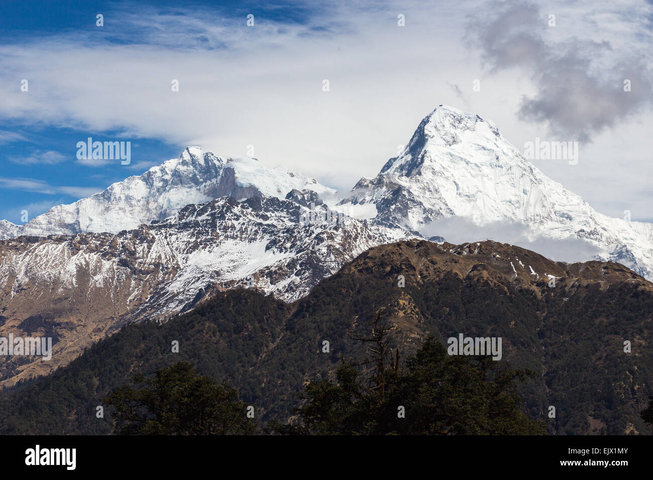 Himalayas spring hi-res stock photography and images - Alamy