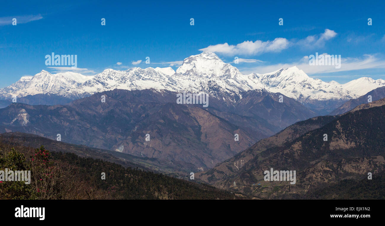 Himalayas spring hi-res stock photography and images - Alamy