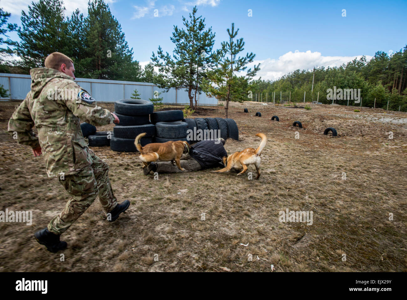 Kiev, Ukraine. 1st April, 2015. Police dog and training. Brothers Aron ...