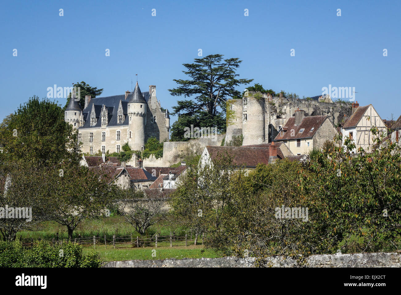 Chateau Montresor, and the village in the Loire Vally, France. Rear of ...
