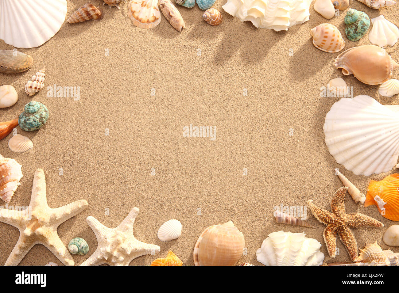 Frame composed of seashells on the beach Stock Photo - Alamy
