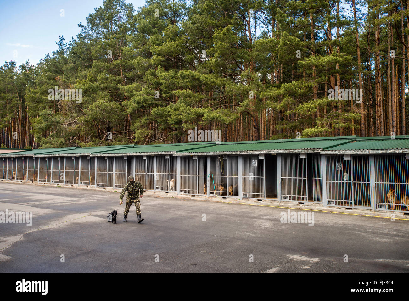 Ukrainian photographer hi-res stock photography and images - Alamy