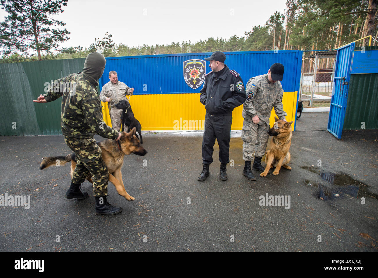 Kiev, Ukraine. 1st April, 2015. Police dog and training. Trainers stand ...