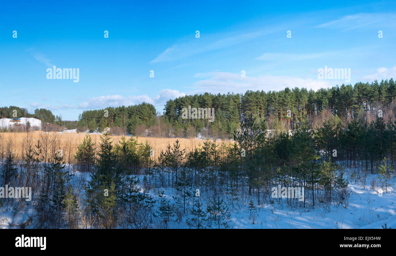 Beautiful cold winter landscape hi-res stock photography and images - Alamy