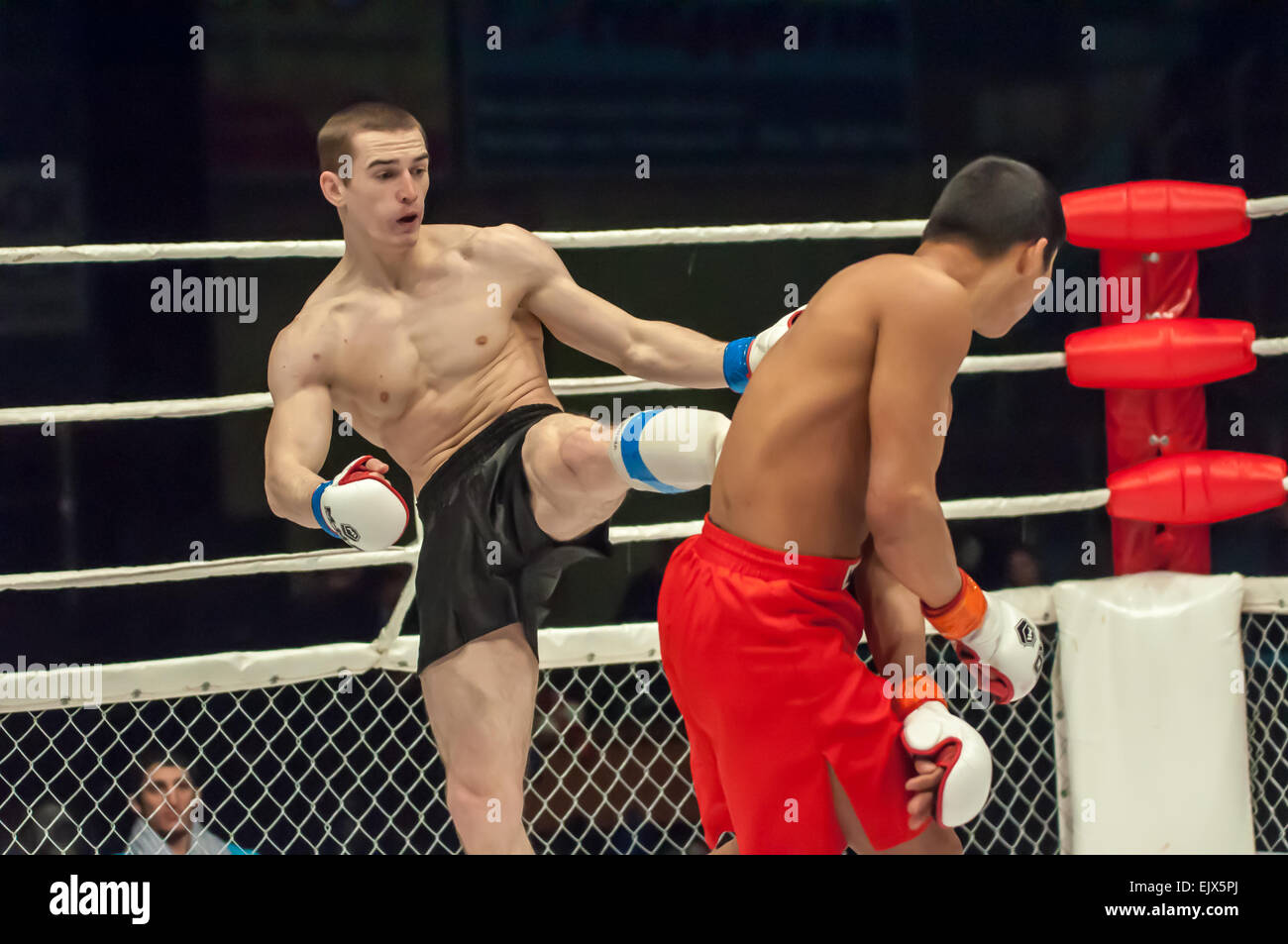 ORENBURG, ORENBURG region, RUSSIA - 21 February 2015: Fight in mixed ...