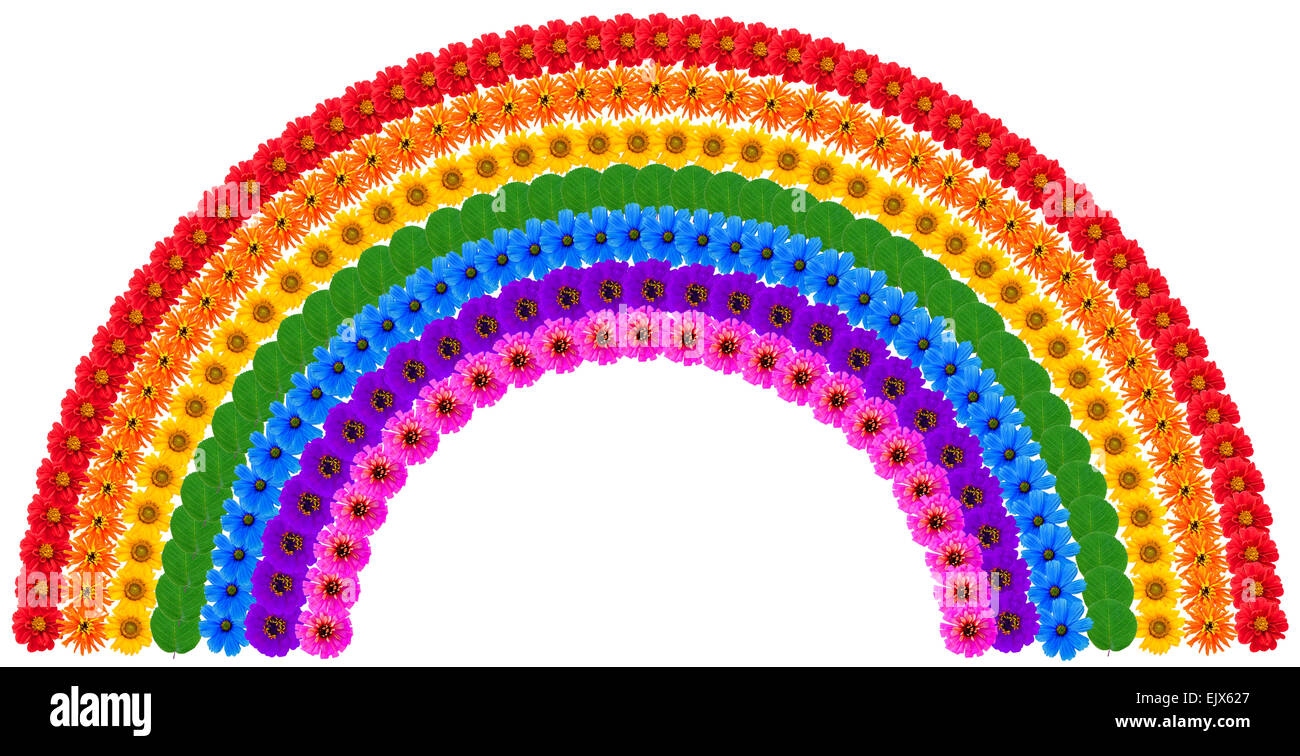 Floral rainbow abstract image made from summer flowers. isolated ...