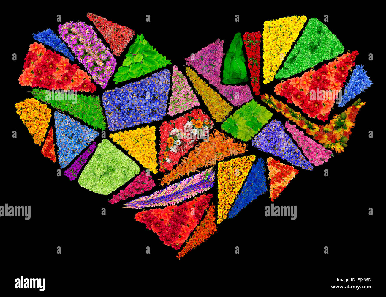 Broken heart abstract concept made from summer flowers. Isolated on ...