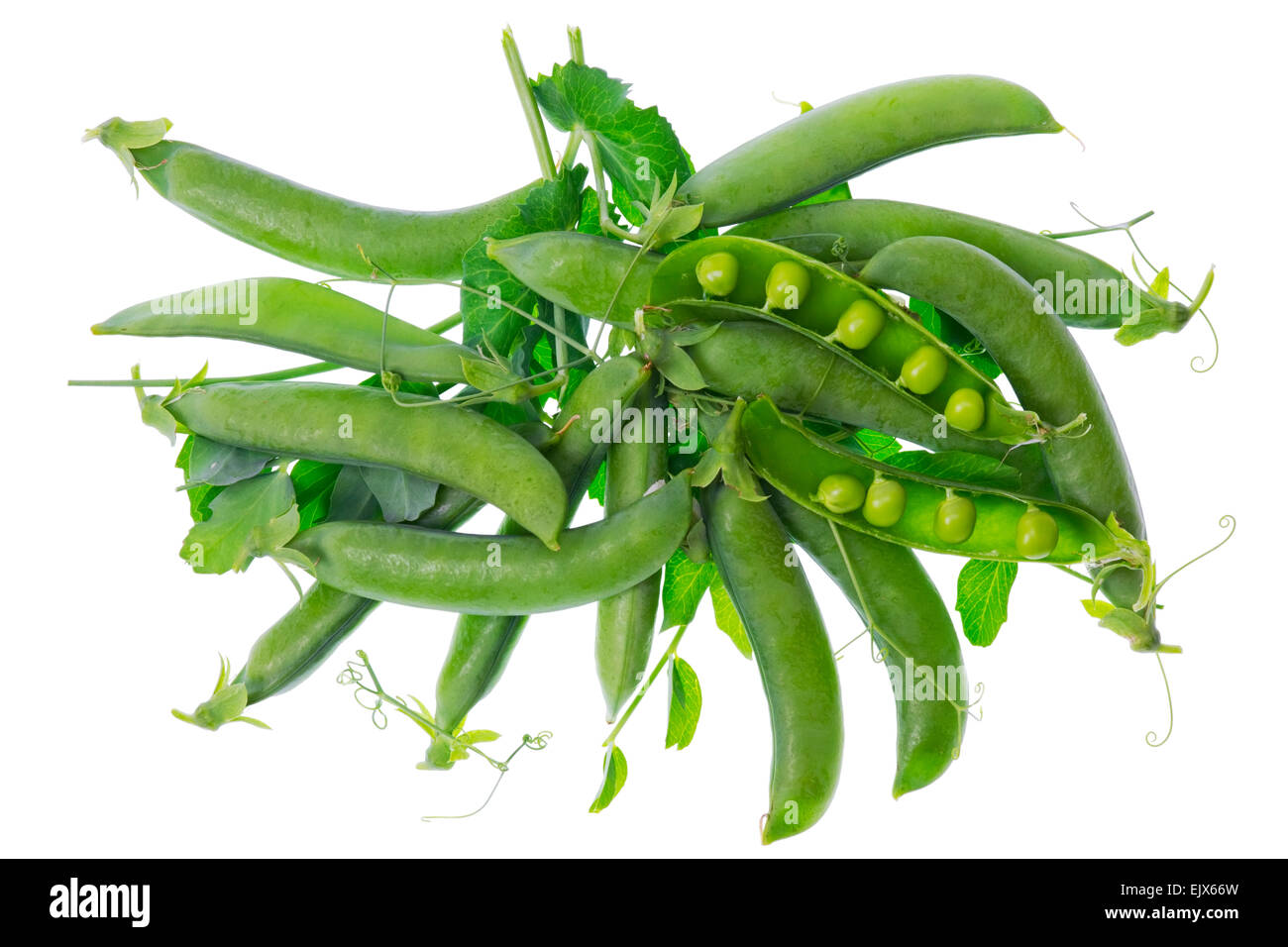 Small group of pods beans and leaves of sweet green pea. Isolated on ...