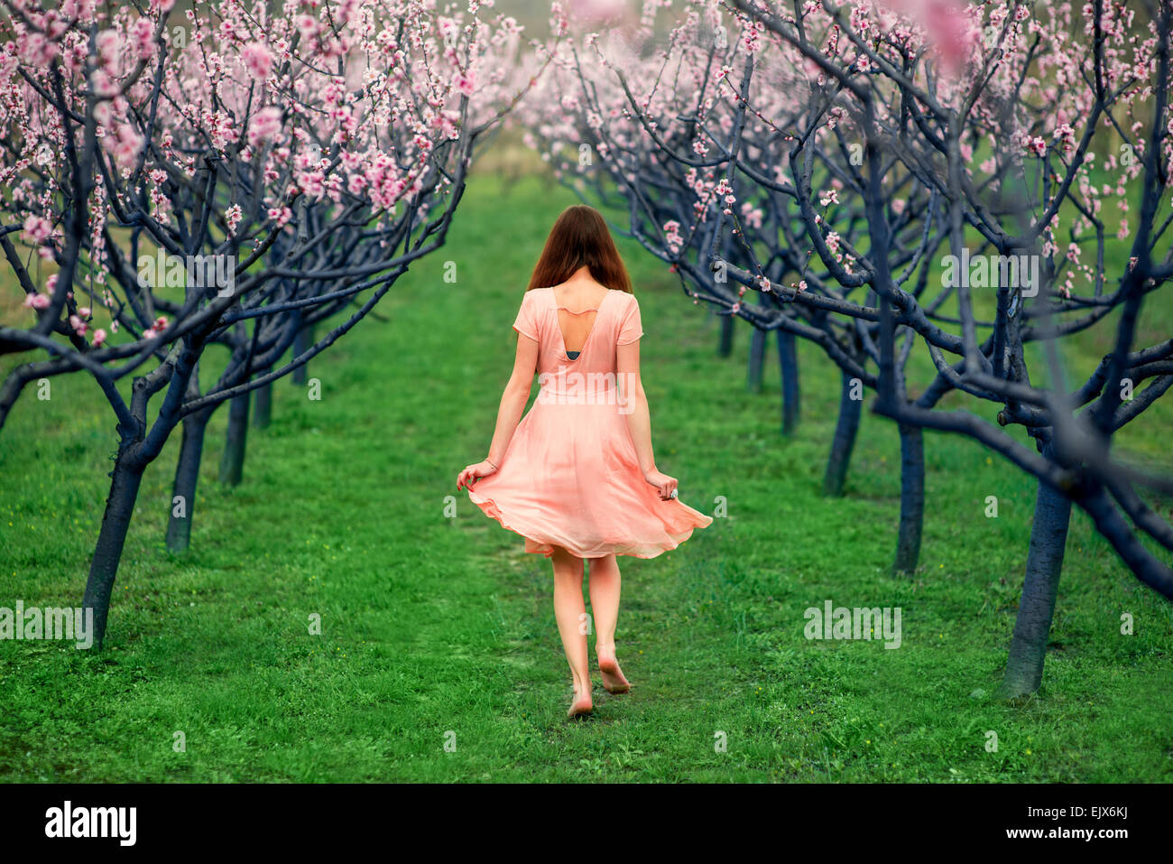 Woman enjoying spring in the green field with blooming trees Stock ...