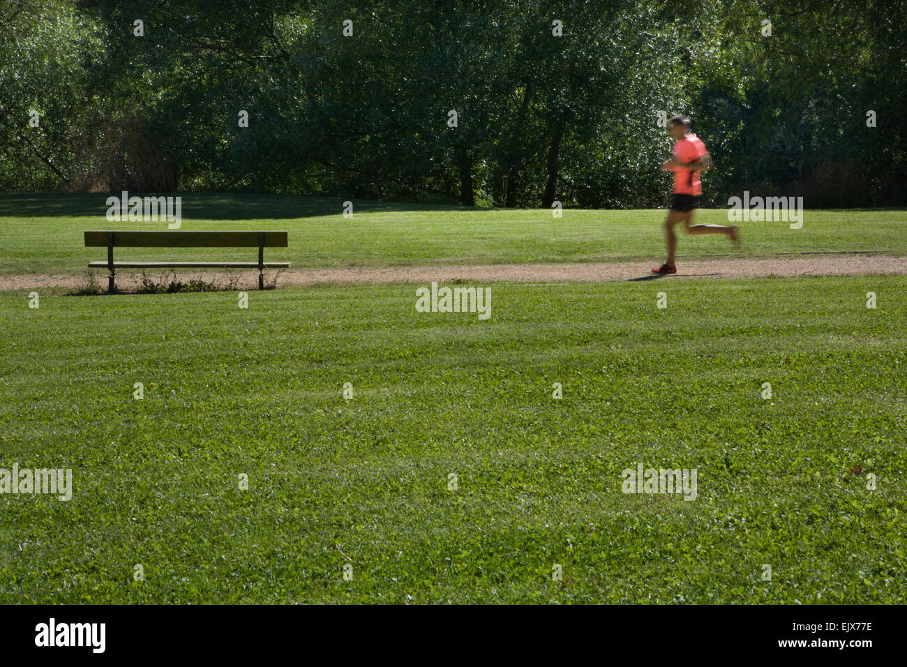 Man running alone in the park getting closer to bench Stock Photo - Alamy