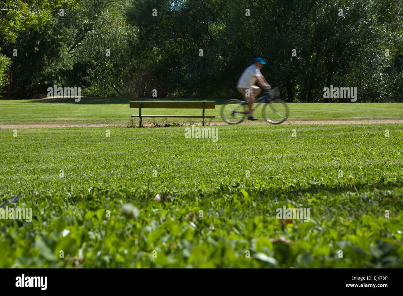 Cyclist biking in a park and moving next to bench Stock Photo - Alamy