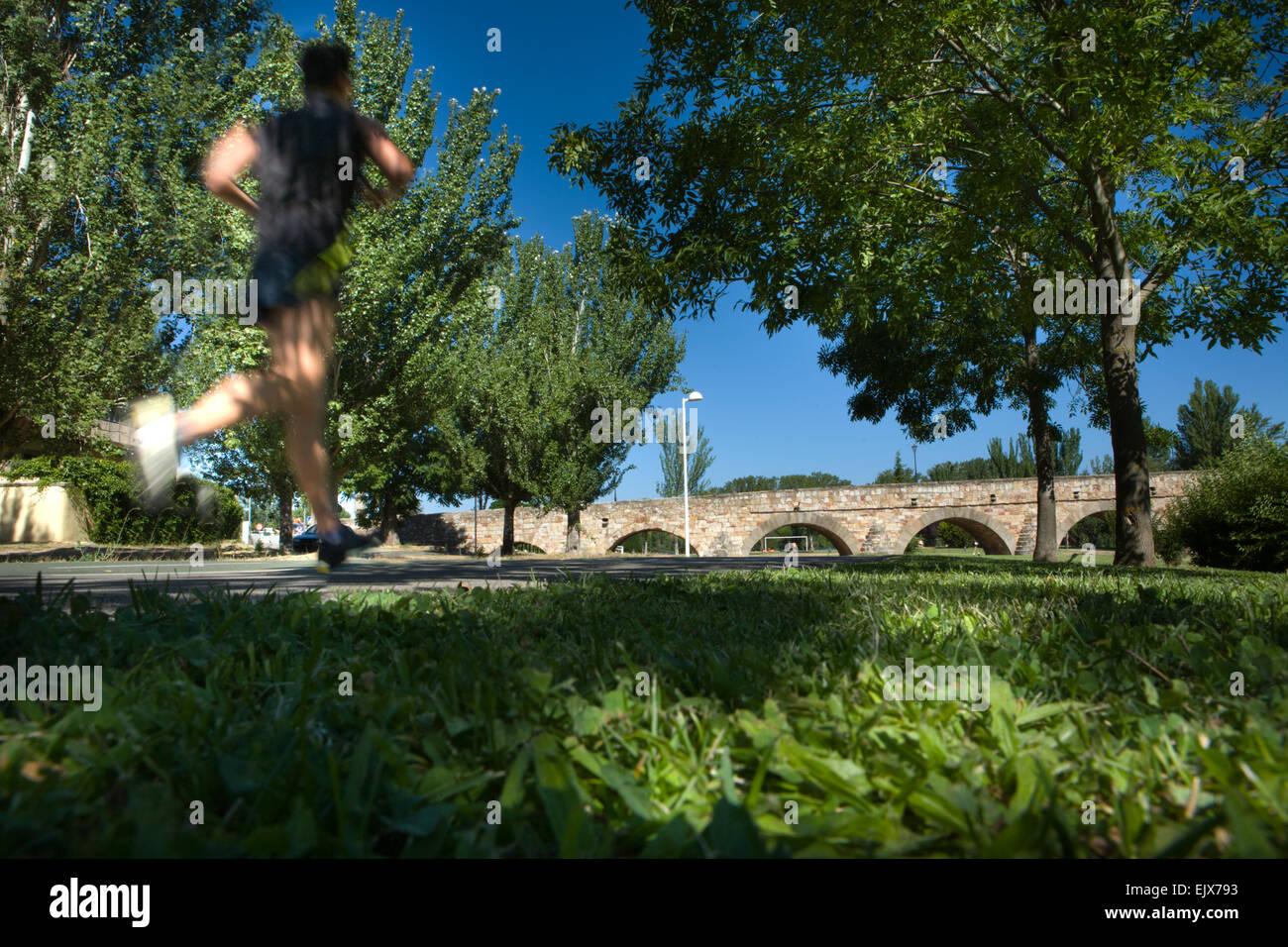 One man running in a park popular for jogging hi-res stock photography ...