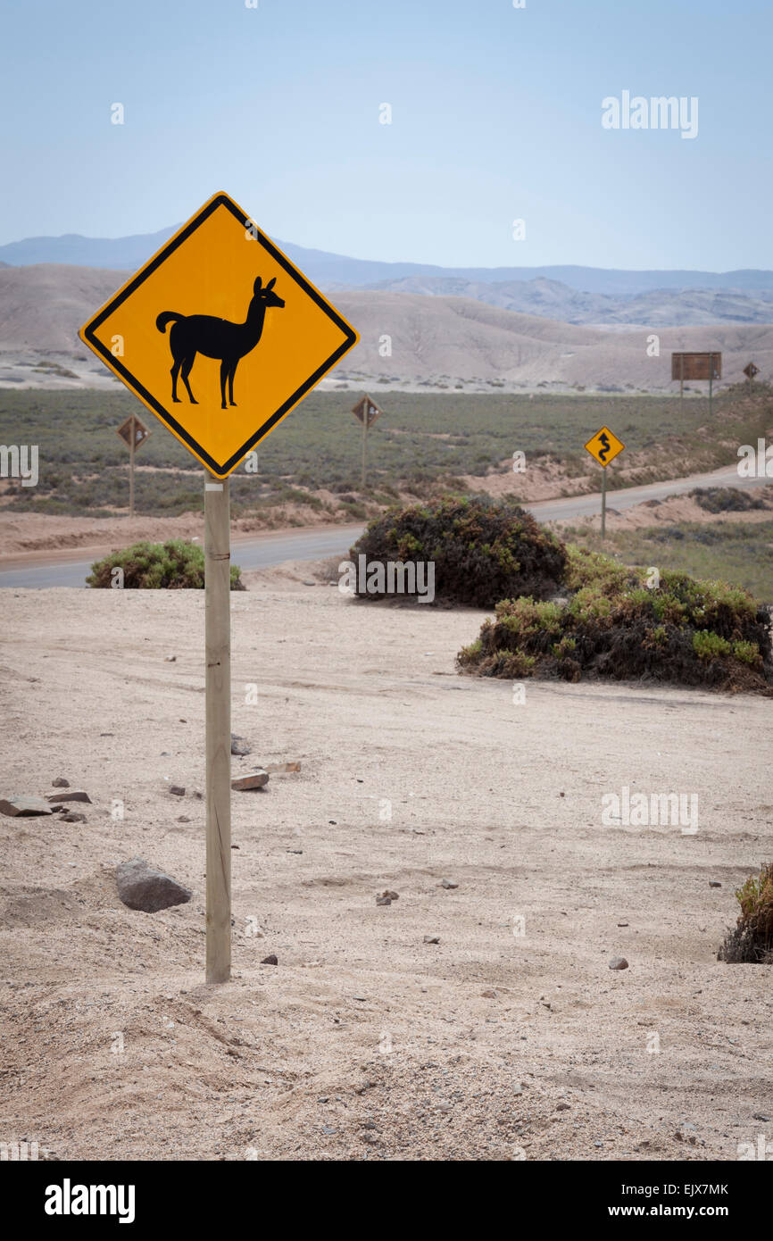 Bright sign warning of Guanacos on the desert road, Pan de Azucar ...
